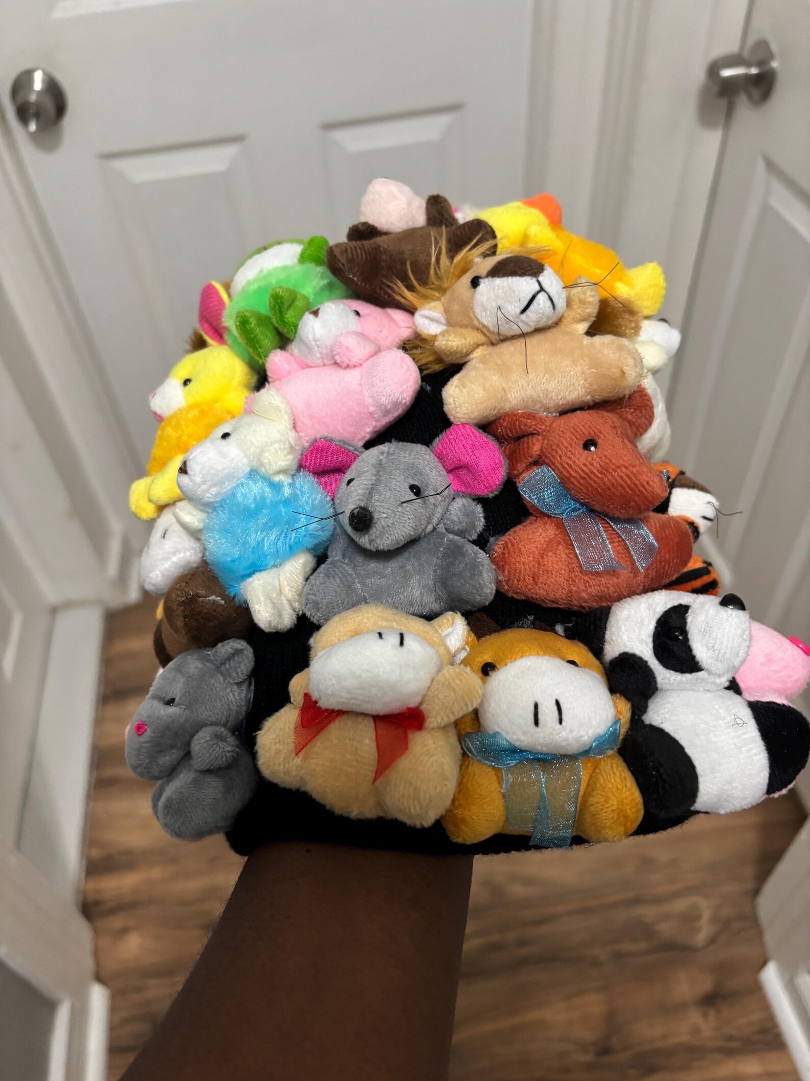 Custom Mini Animal Clothes and Accessories - Etsy