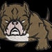 American Bully Dog Embroidery Design File Pattern - Etsy