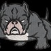 American Bully Dog Embroidery Design File Pattern - Etsy