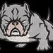 American Bully Dog Embroidery Design File Pattern - Etsy