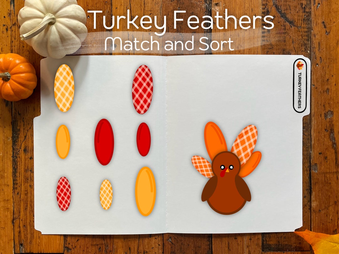 Turkey Feather Match and Sort - Etsy