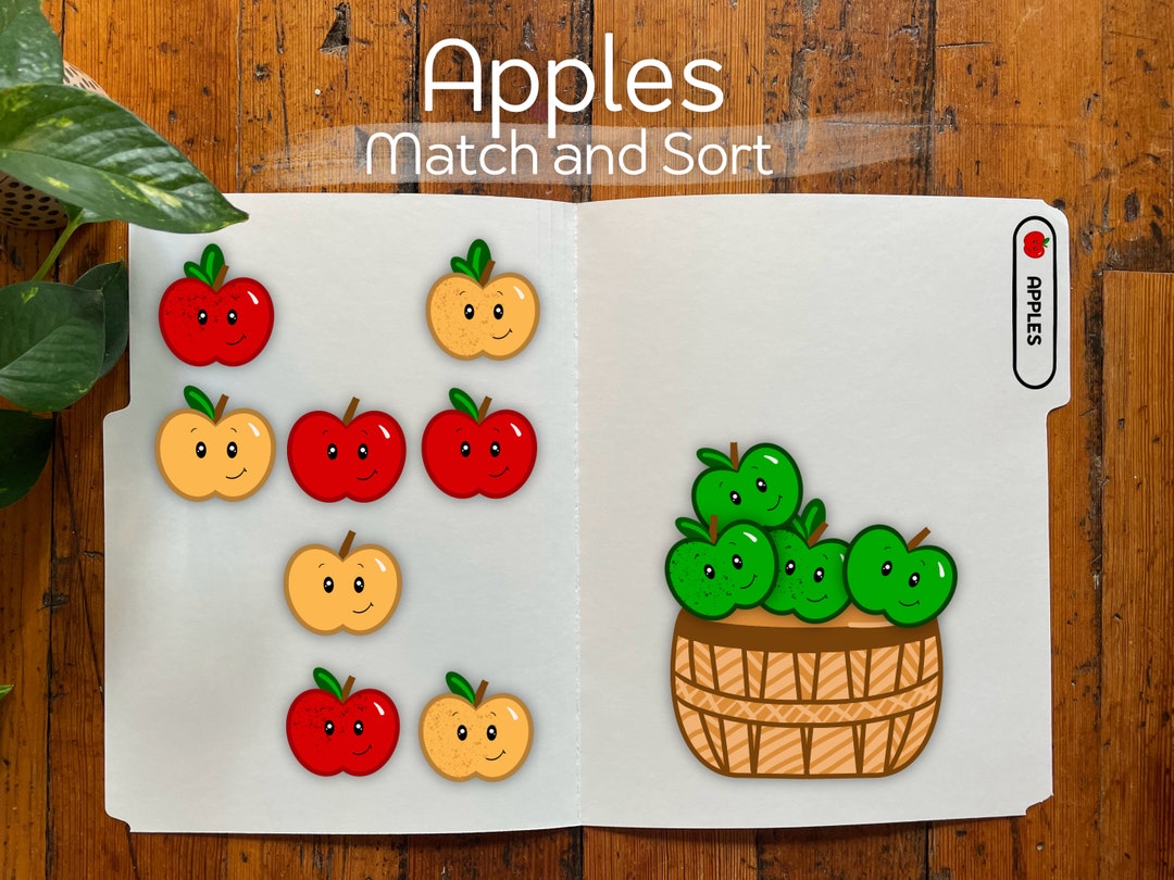 Apples - Matching and Sorting Folder Activity - Etsy