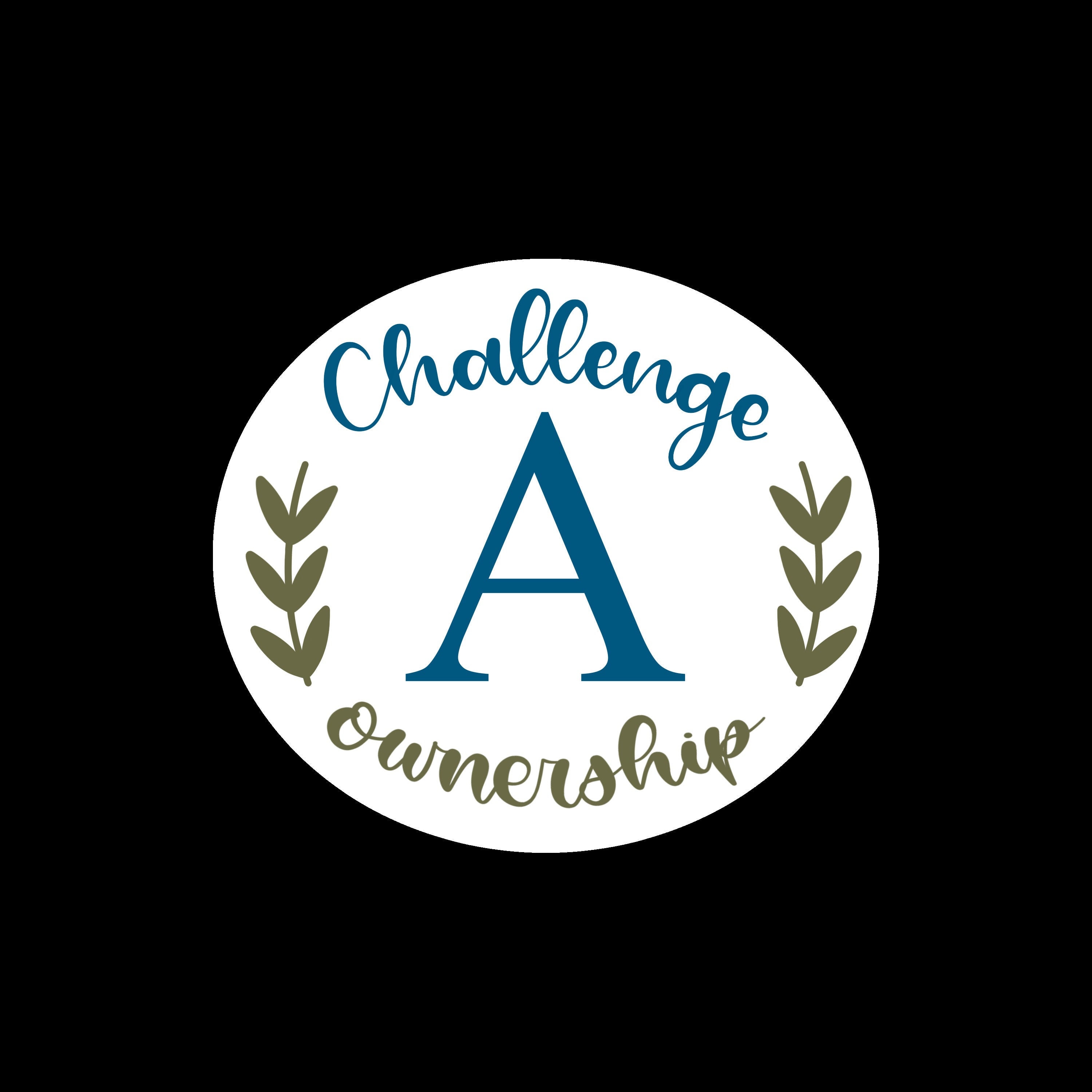 Challenge A OWNERSHIP Sticker - Etsy