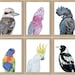 Australian Native Birds Watercolor Prints, Choose Your Own Bird ...