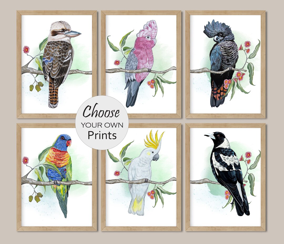 Australian Native Birds Watercolor Prints, Choose Your Own Bird ...