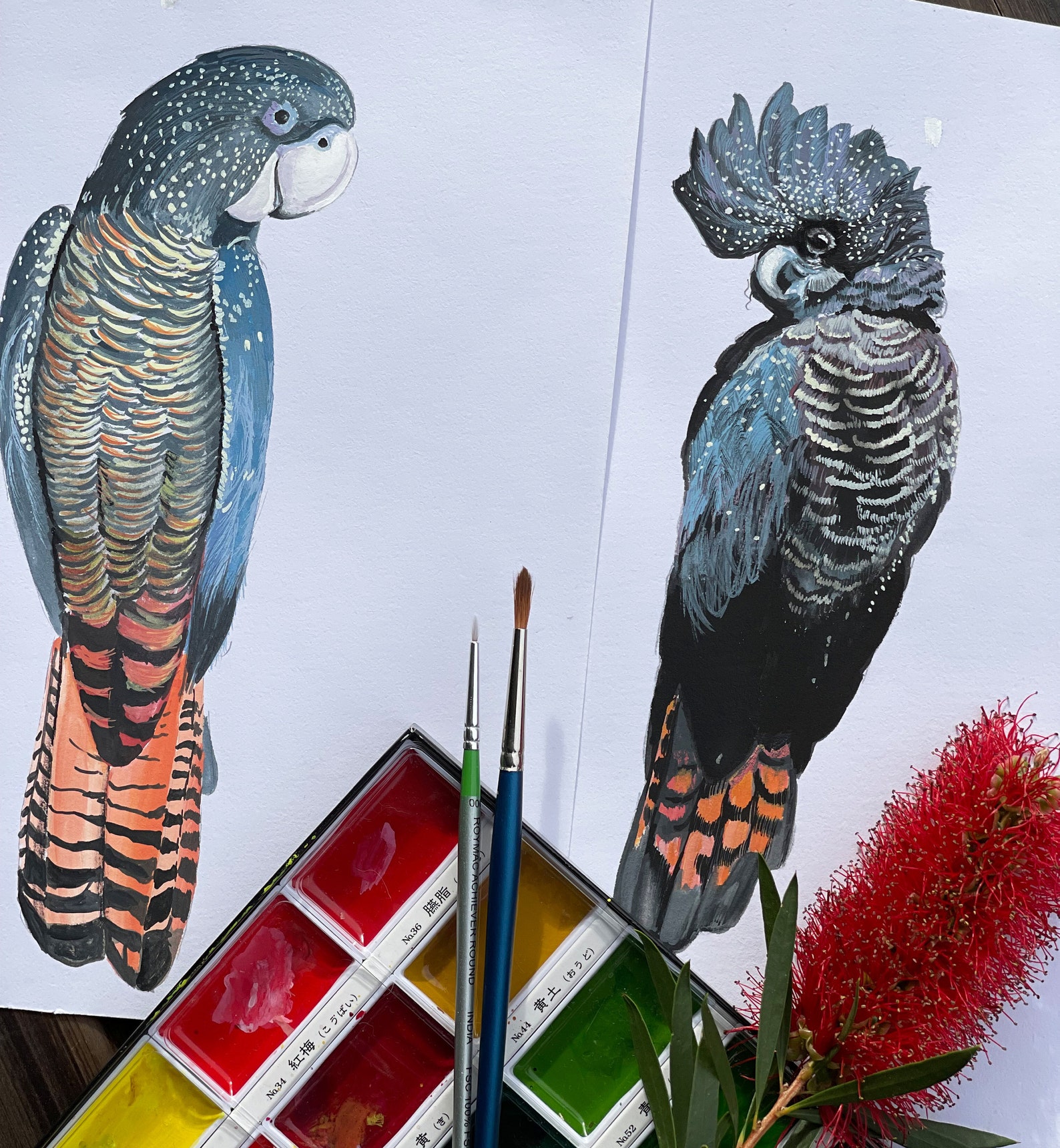 Australian Native Bird Print Kookaburra Black Cockatoo Rainbow Lorikeet ...