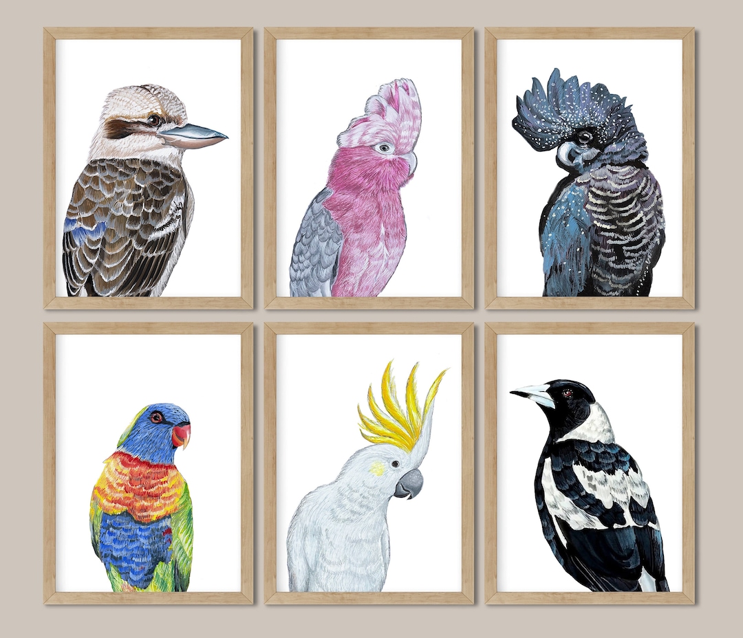 Australian Native Birds Watercolor Prints, Choose Your Own Bird ...