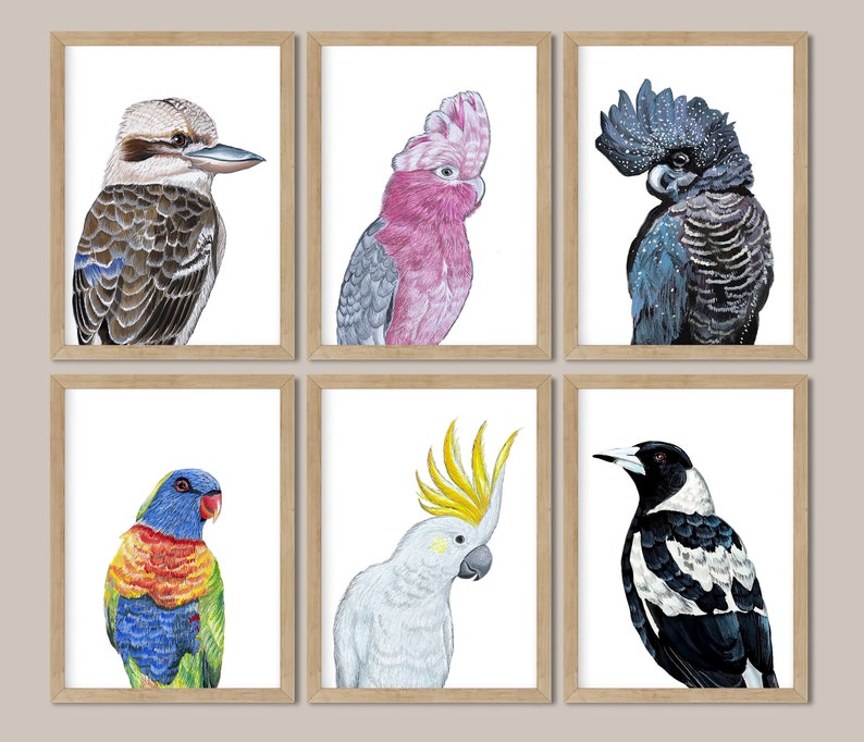 Australian Native Birds Watercolor Prints, Choose Your Own Bird ...