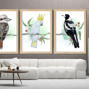 Australian Native Birds Watercolor Prints, Choose Your Own Bird ...