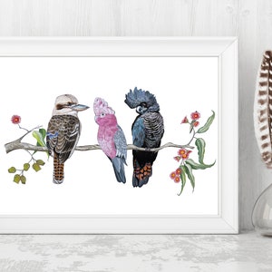Australian Native Bird Print Kookaburra Black Cockatoo Rainbow Lorikeet ...