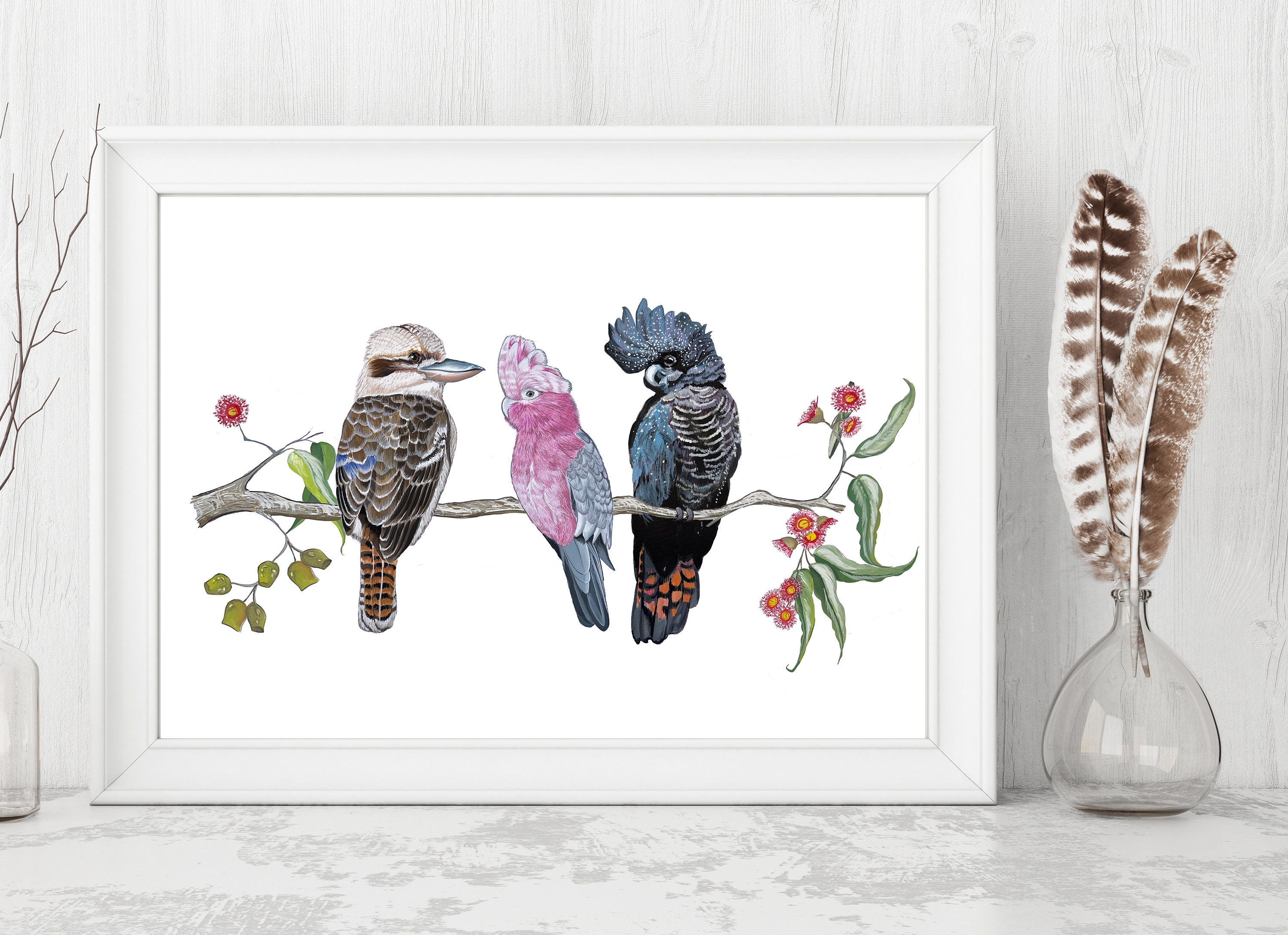 Australian Native Bird Print Kookaburra Black Cockatoo Rainbow Lorikeet ...