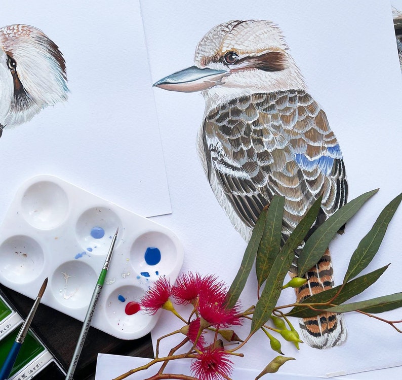 Australian Native Bird Print Kookaburra Black Cockatoo Rainbow Lorikeet ...