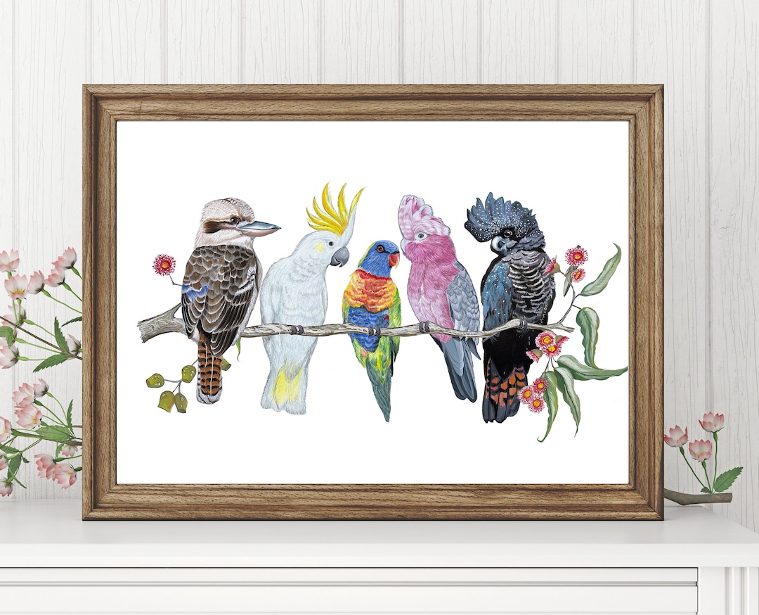 Australian Native Bird Print Kookaburra Black Cockatoo Rainbow Lorikeet ...