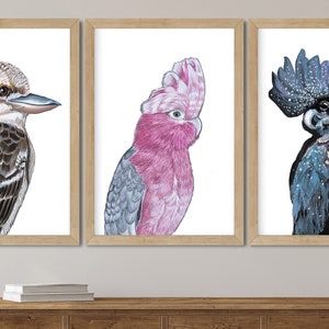 Australian Native Birds Watercolor Prints, Choose Your Own Bird ...