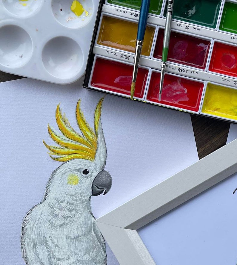 Australian Native Bird Print Kookaburra Black Cockatoo Rainbow Lorikeet ...
