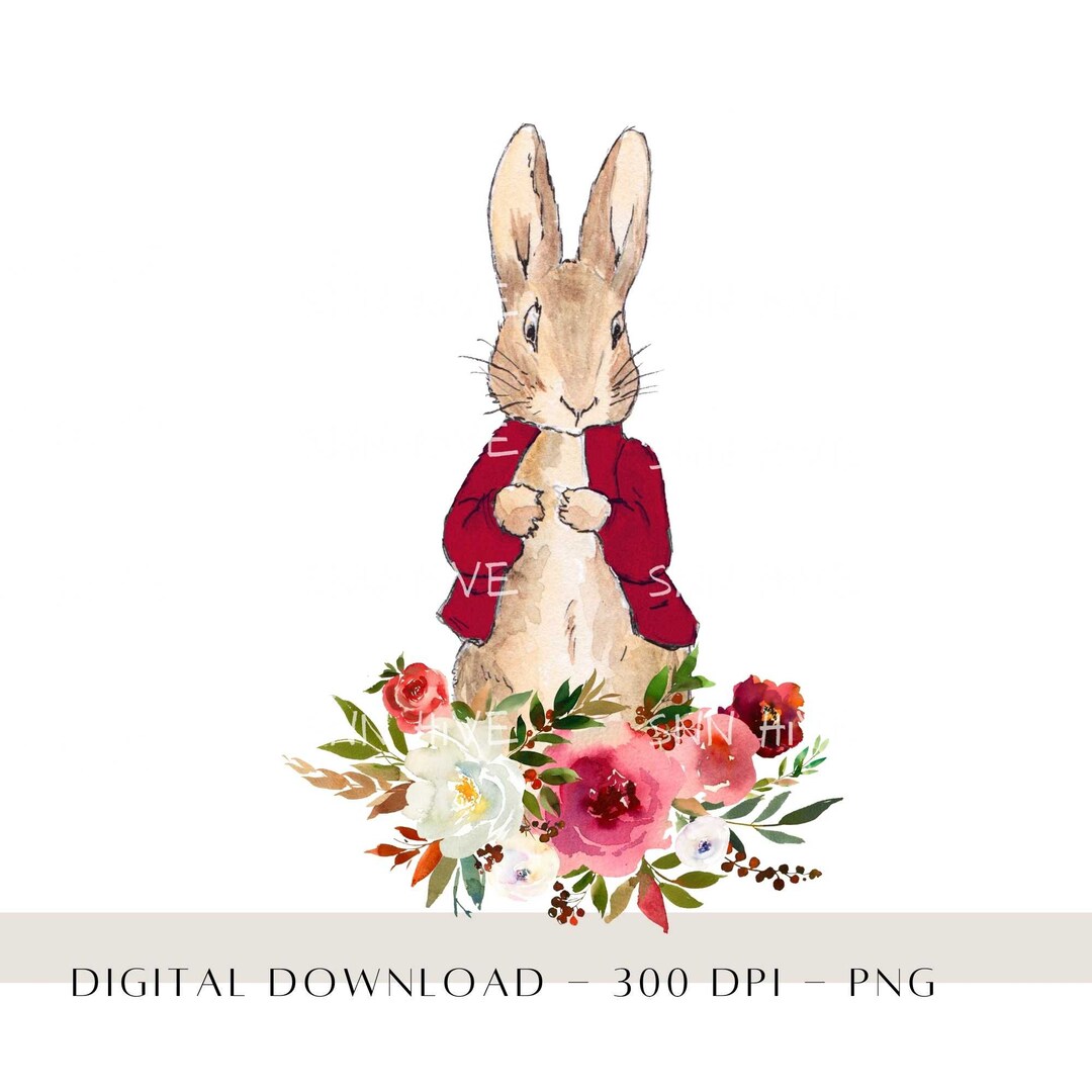 Peter Rabbit Christmas PNG, Sublimation Design, Christmas Bunny Design ...