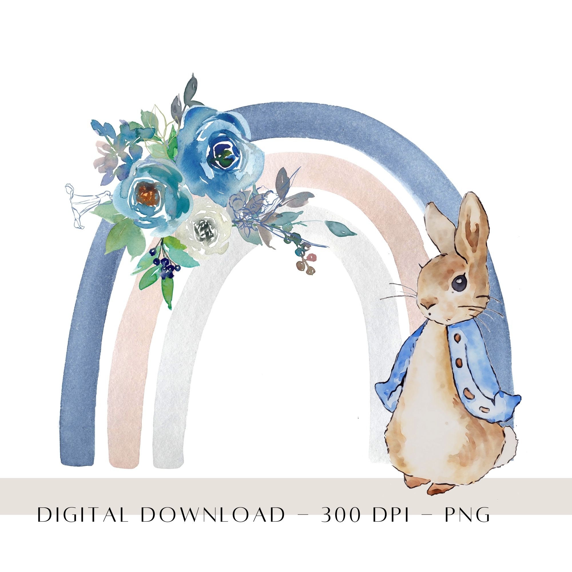 Peter Rabbit PNG Peter Rabbit Floral Rainbow Design Clip Art - Etsy UK