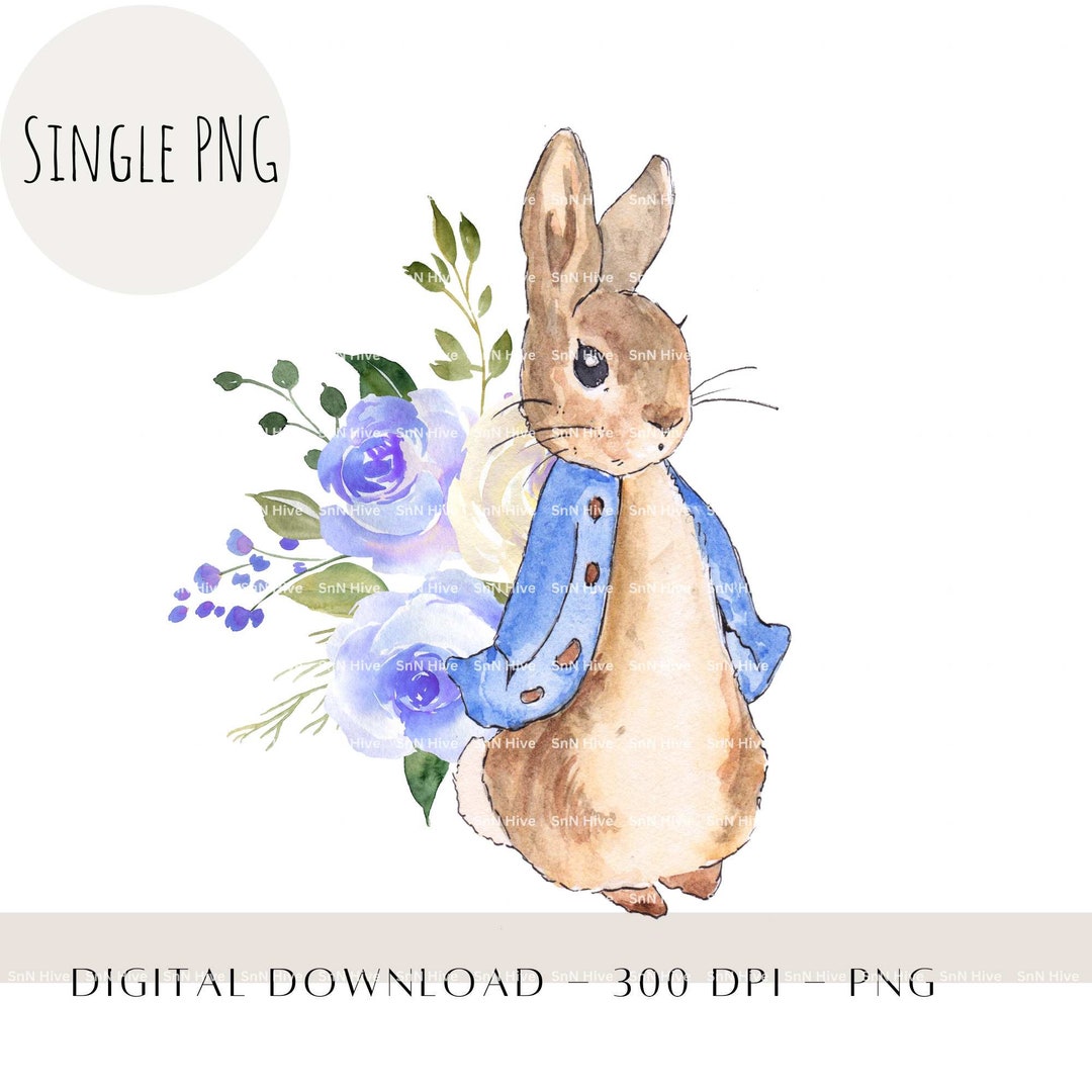 Peter Rabbit PNG, Peter Rabbit Floral Design Clipart, Invite Card ...