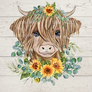 Highland Cow With Sunflowers PNG, Sunflower Sublimation Designs ...