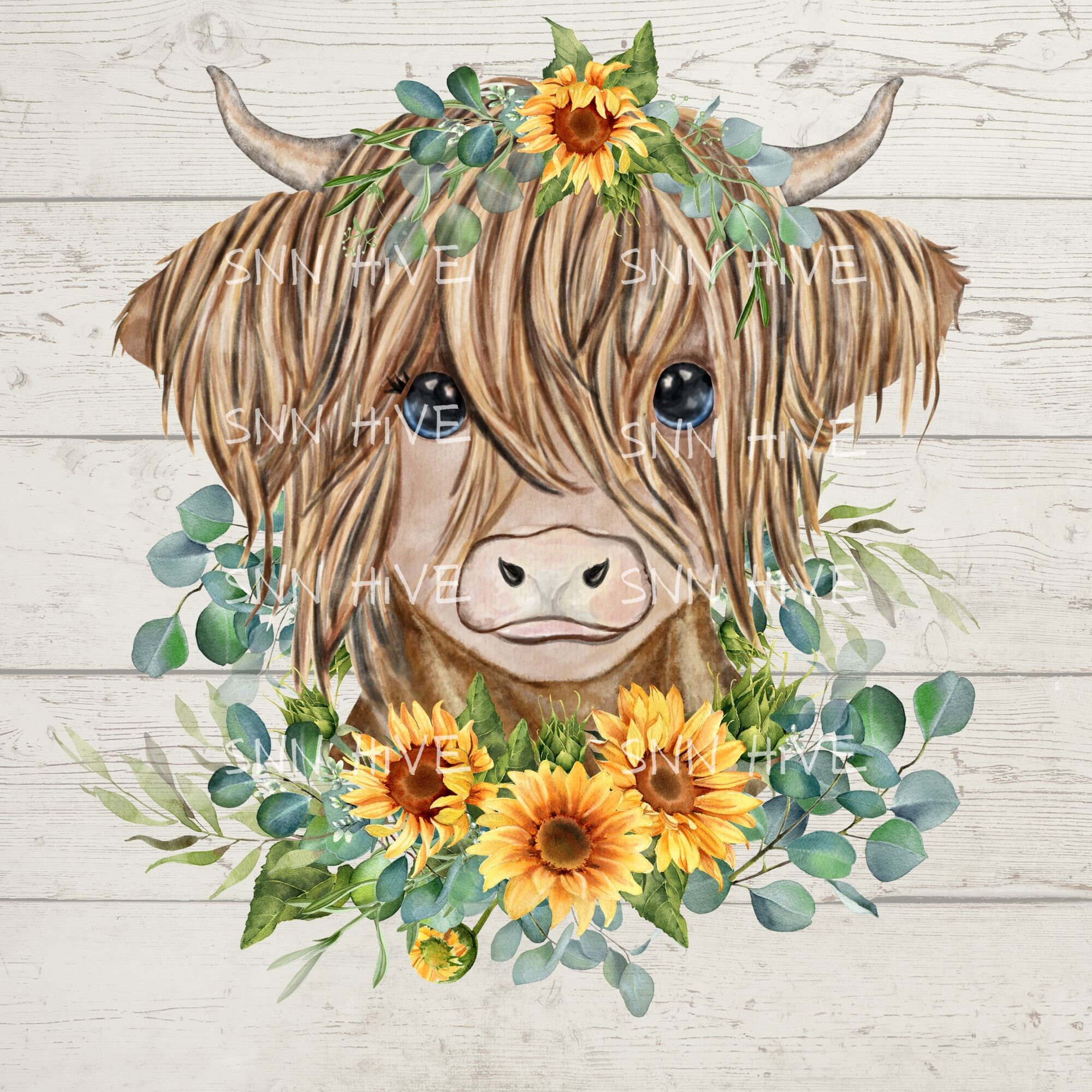 Highland Cow With Sunflowers PNG, Farmhouse Sublimation (digital ...