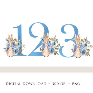 Blue Peter Rabbit Letters, Floral Alphabet Clip Art, Blue Foil Letter ...