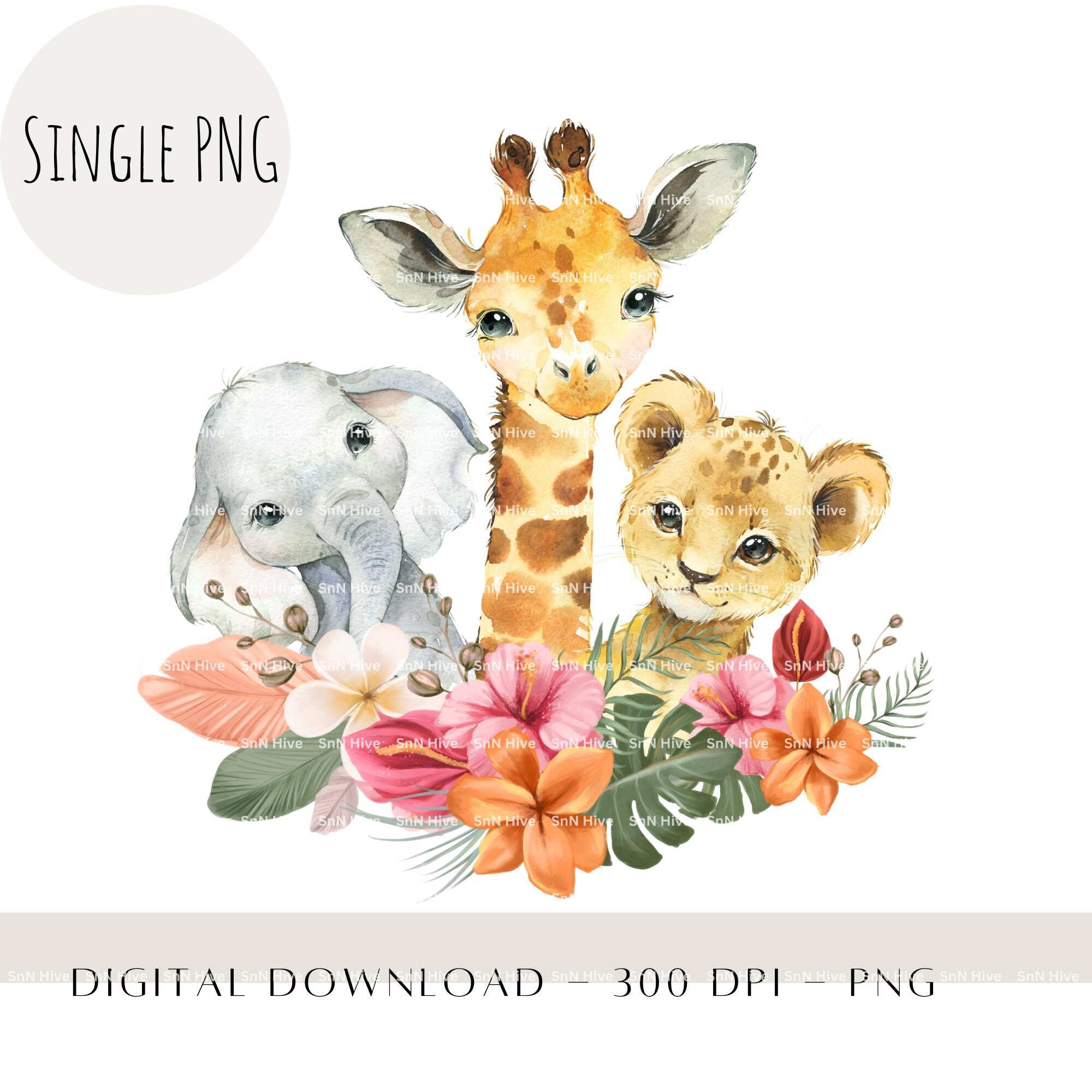 Safari Baby Animals PNG, Jungle Baby Animals Clipart, Safari Baby ...