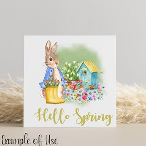 Spring Floral Gardener PNG, Tulip Garden PNG, Peter Rabbit Sublimation ...
