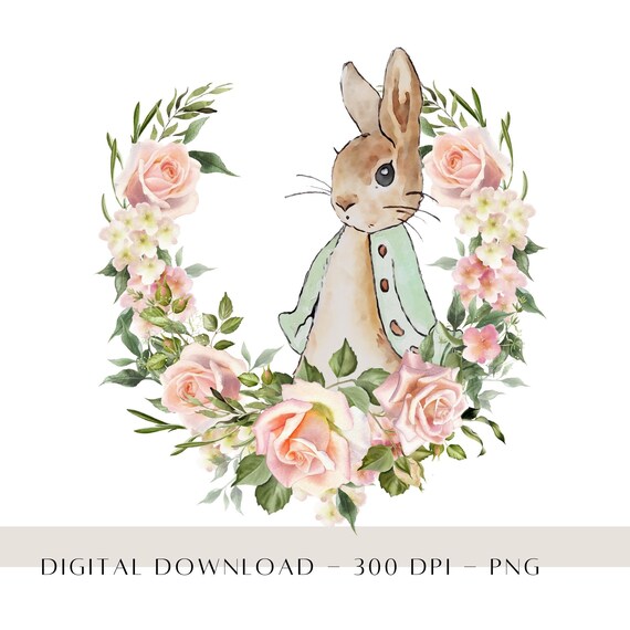 Flopsy Bunny PNG Peter Rabbit Clipart Birthday PNG Peter | Etsy