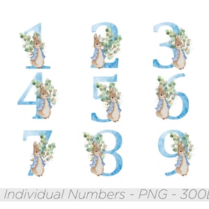 Blue Watercolour Peter Rabbit Numbers PNG, Greenery Numbers Clipart ...