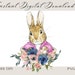Peter Rabbit Floral PNG Invite Card Design Peter Rabbit - Etsy