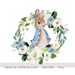 Peter Rabbit Floral PNG Invite Card Design Peter Rabbit - Etsy