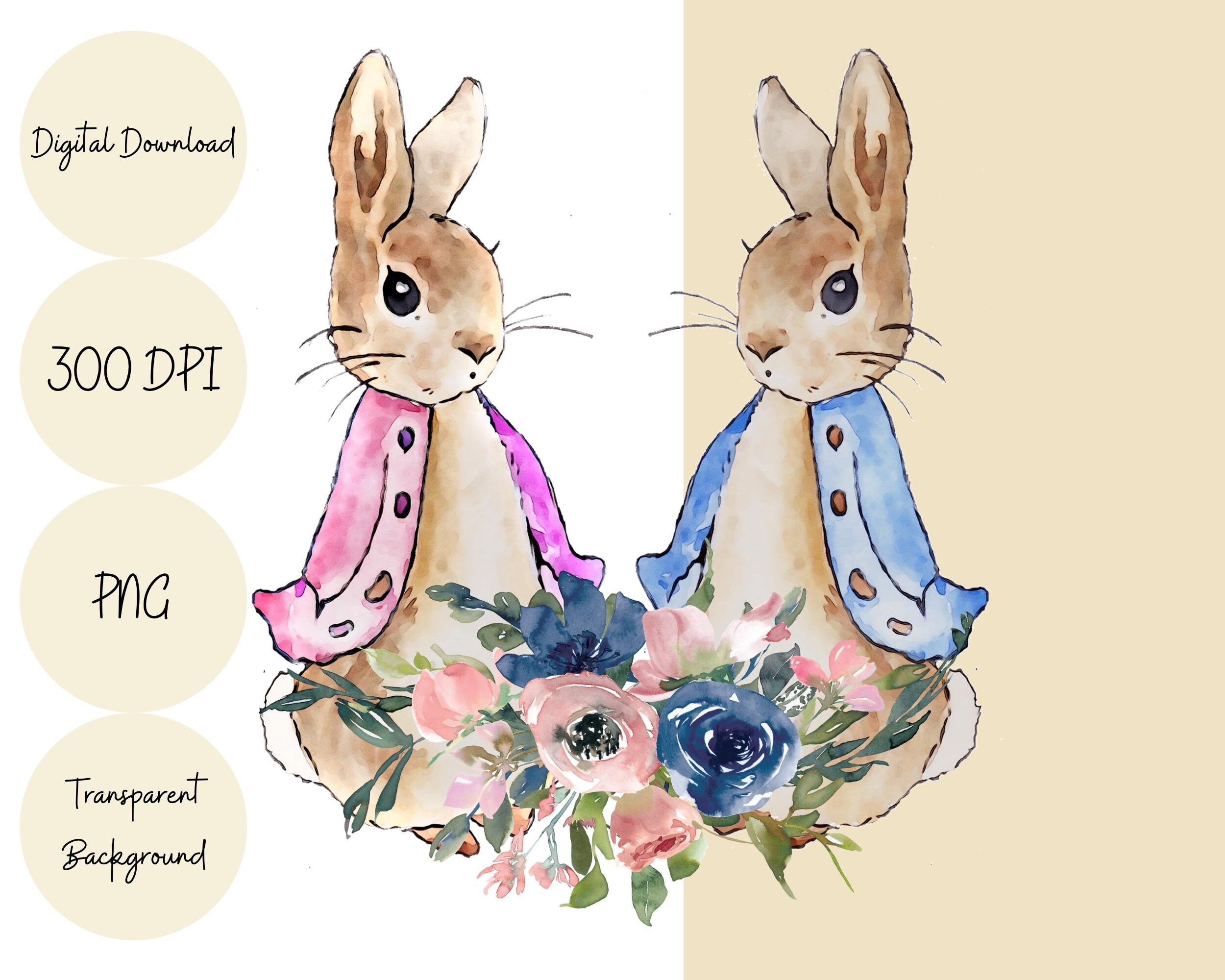 Flopsy Bunny PNG Baby Gender Reveal PNG Peter Rabbit Floral | Etsy UK