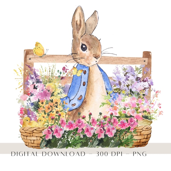 Peter Rabbit Easter Png - Etsy