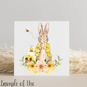 Peter Rabbit Spring Easter Clipart, Peter Rabbit Floral Watercolours ...