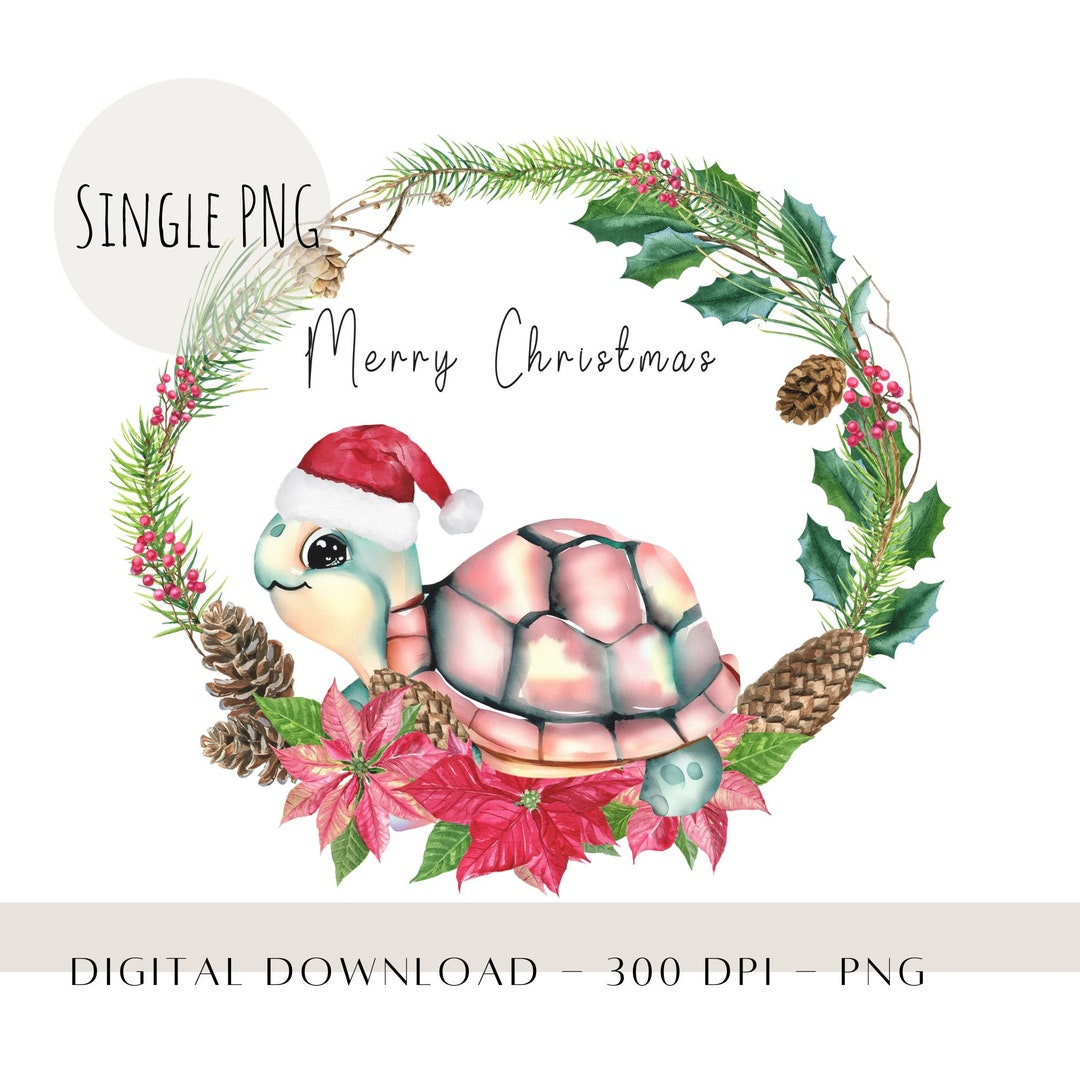 Merry Christmas Sea Turtle PNG, Watercolor Turtle PNG, Green Sea Turtle ...