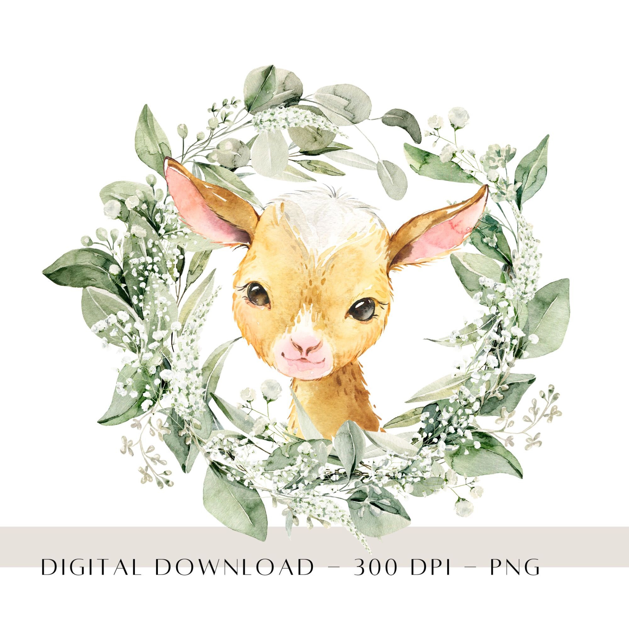 Baby Goat PNG Watercolour Baby Animal Farm Animal Clipart - Etsy