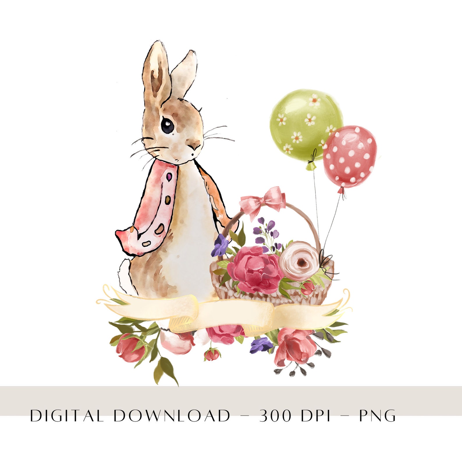 Flopsy Bunny PNG Peter Rabbit 1st Birthday PNG Peter Rabbit - Etsy