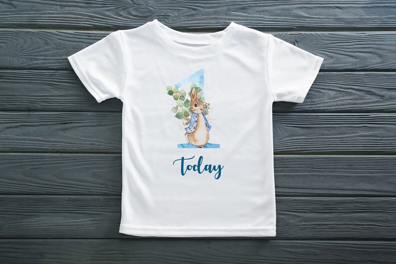 Blue Watercolour Peter Rabbit Numbers PNG Greenery Numbers - Etsy