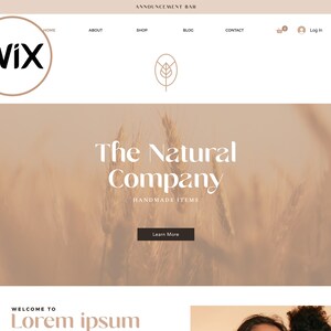 Minimalist Wix Website Template: Webshop Design - Etsy