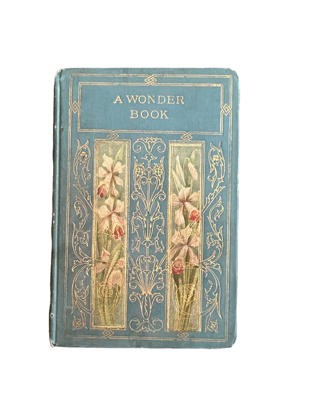 Nathaniel Hawthorne 1800’s A Wonder Book for Girls and Boys Henry ...