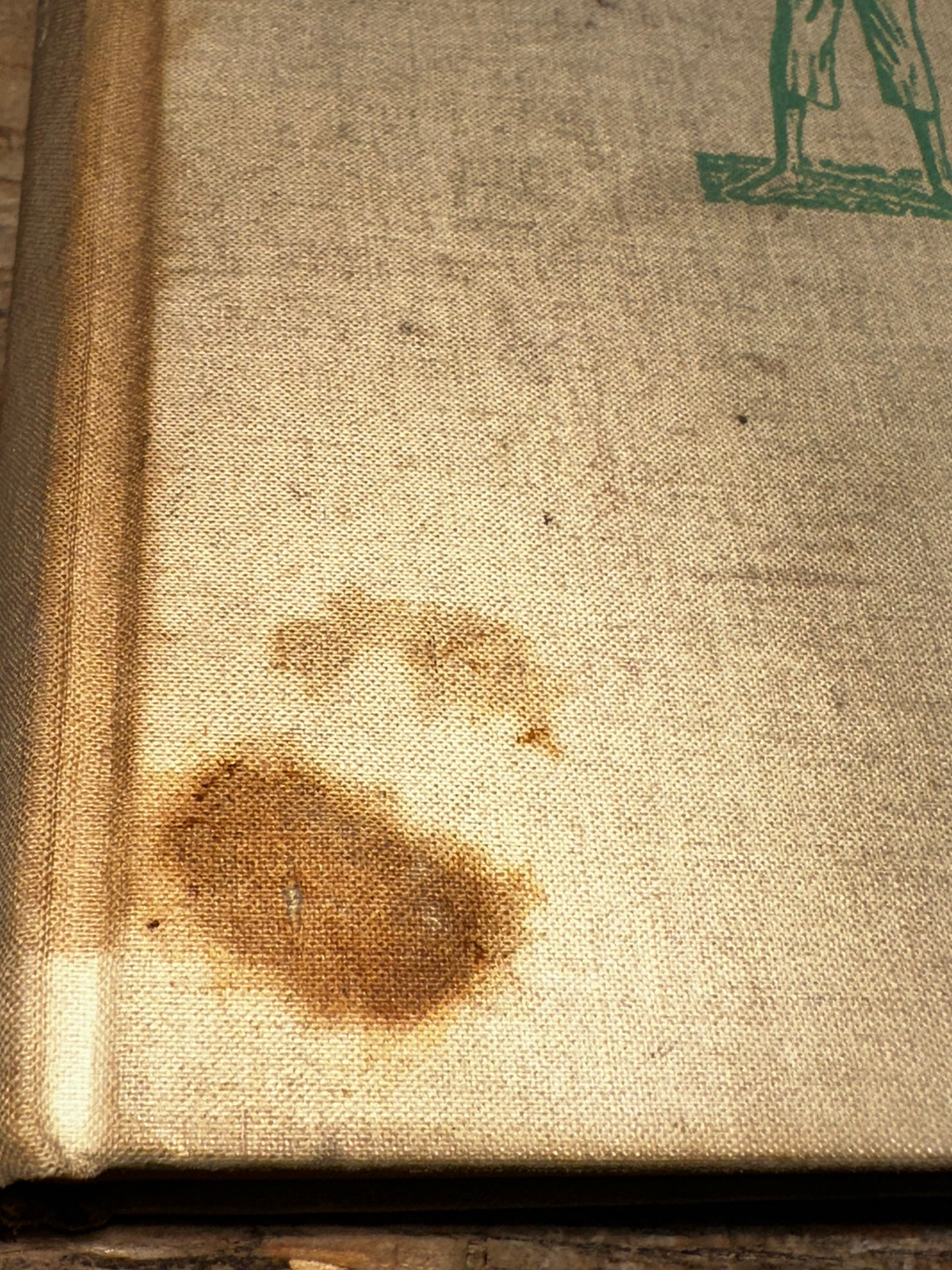 Marjorie Kinnan Rawlings 1938 the Yearling 1st Edition 1st Print A Book ...