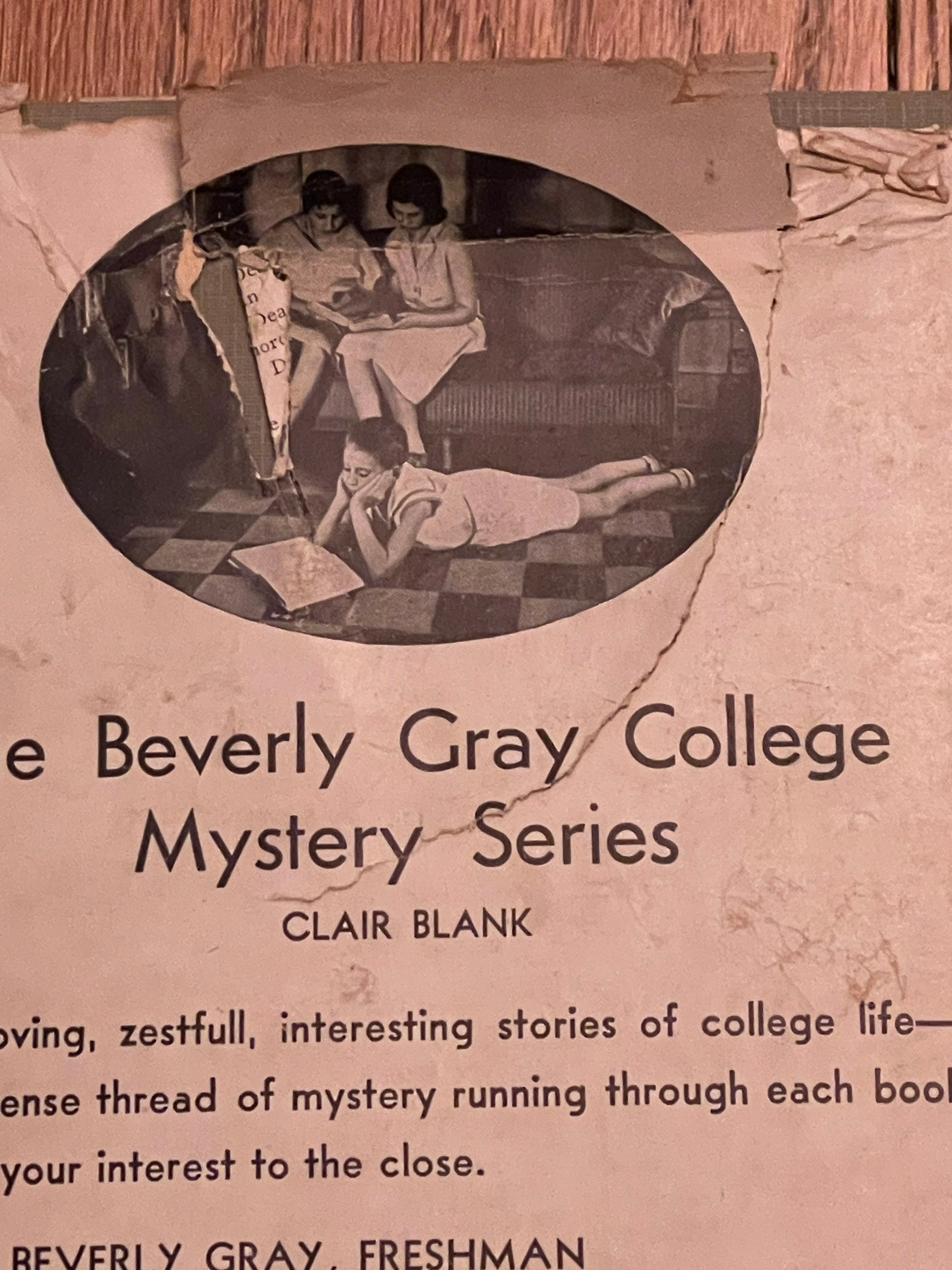 Clair Blank 1935 Beverly Gray at the World’s Fair #6 College Mystery ...