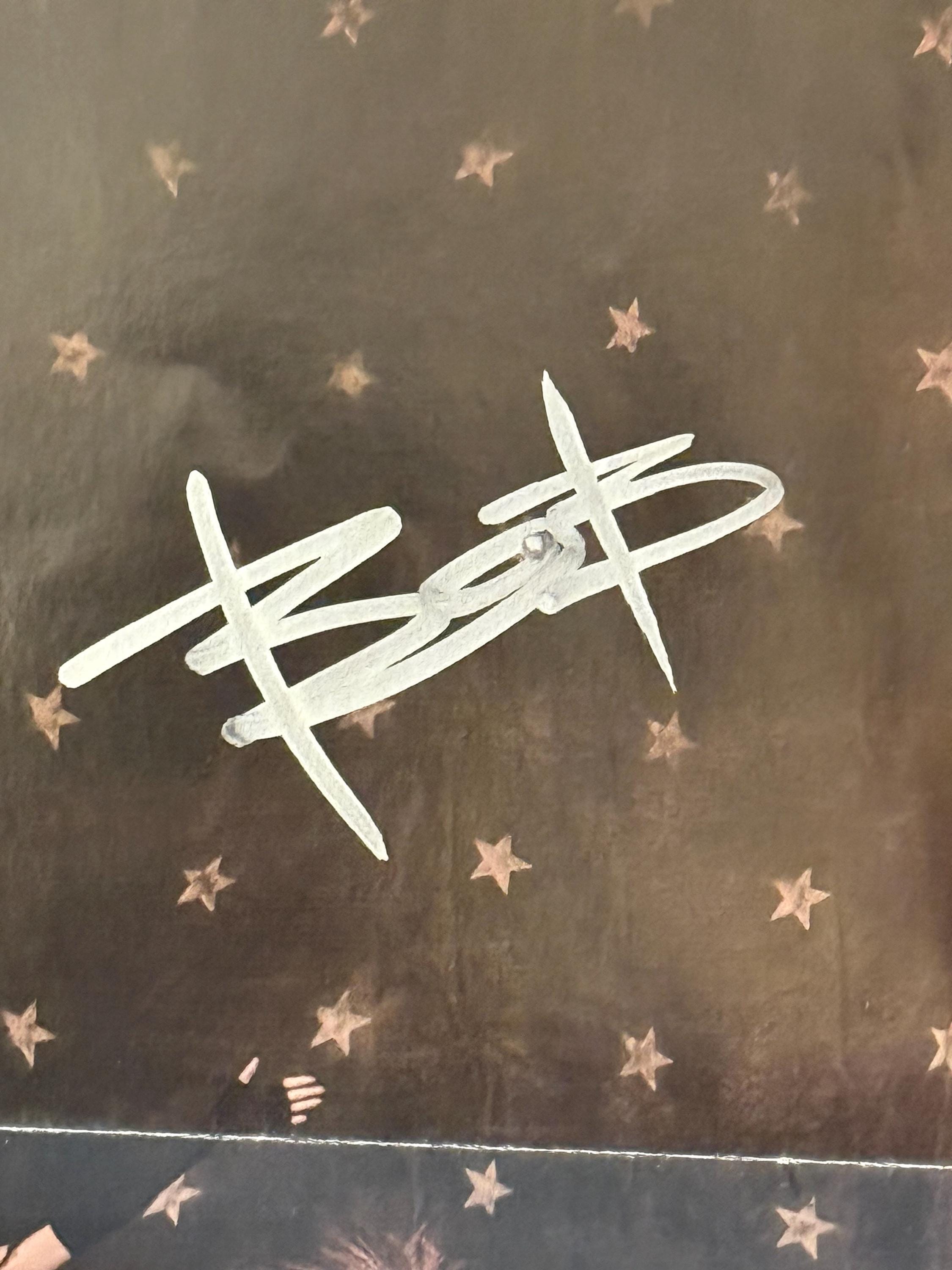 Vintage MCR My Chemical Romance the Black Parade CD Fully Signed ...