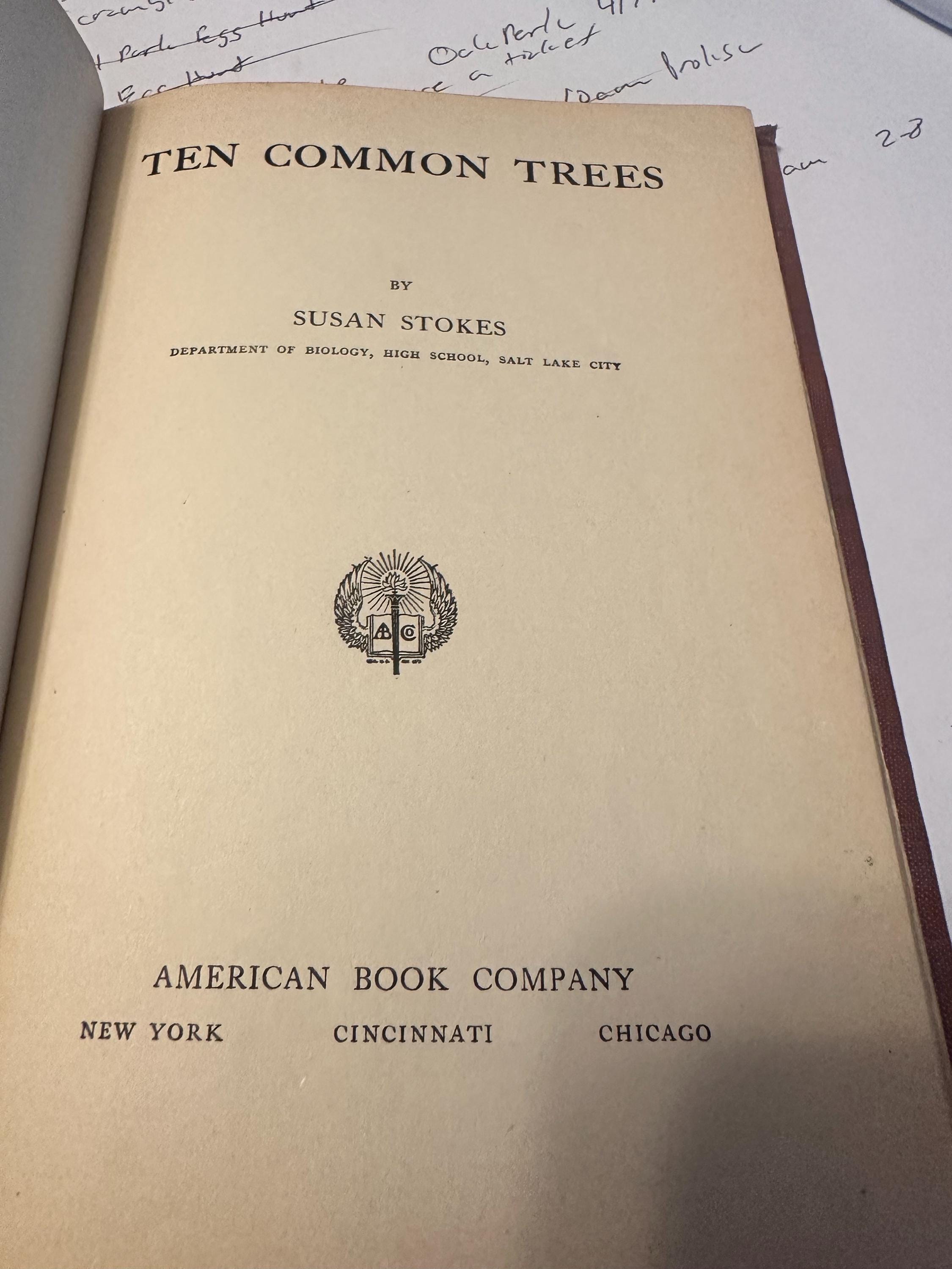 Susan Stokes 1899 Ten Common Trees American Book Company Board of ...