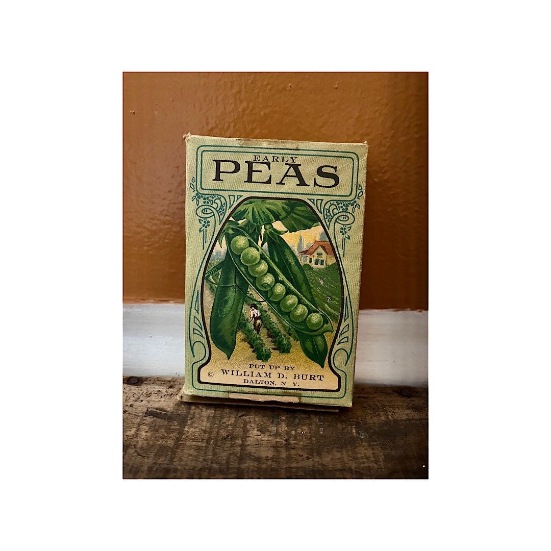 Vintage Cardboard Peas Box - Etsy