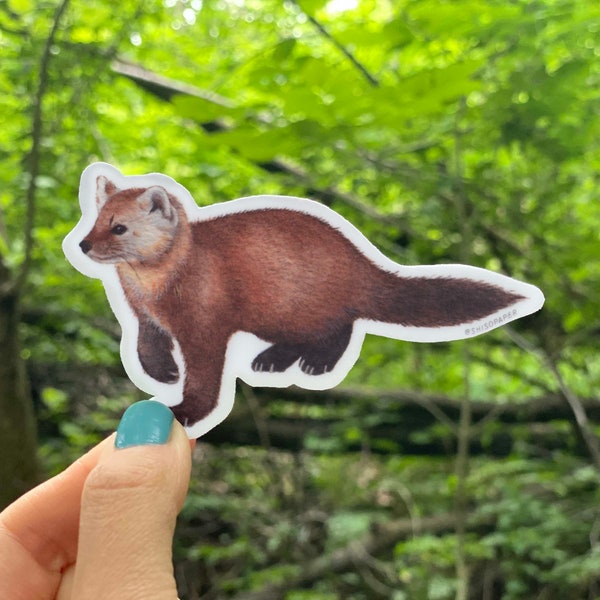 Pine Marten Painting - Etsy
