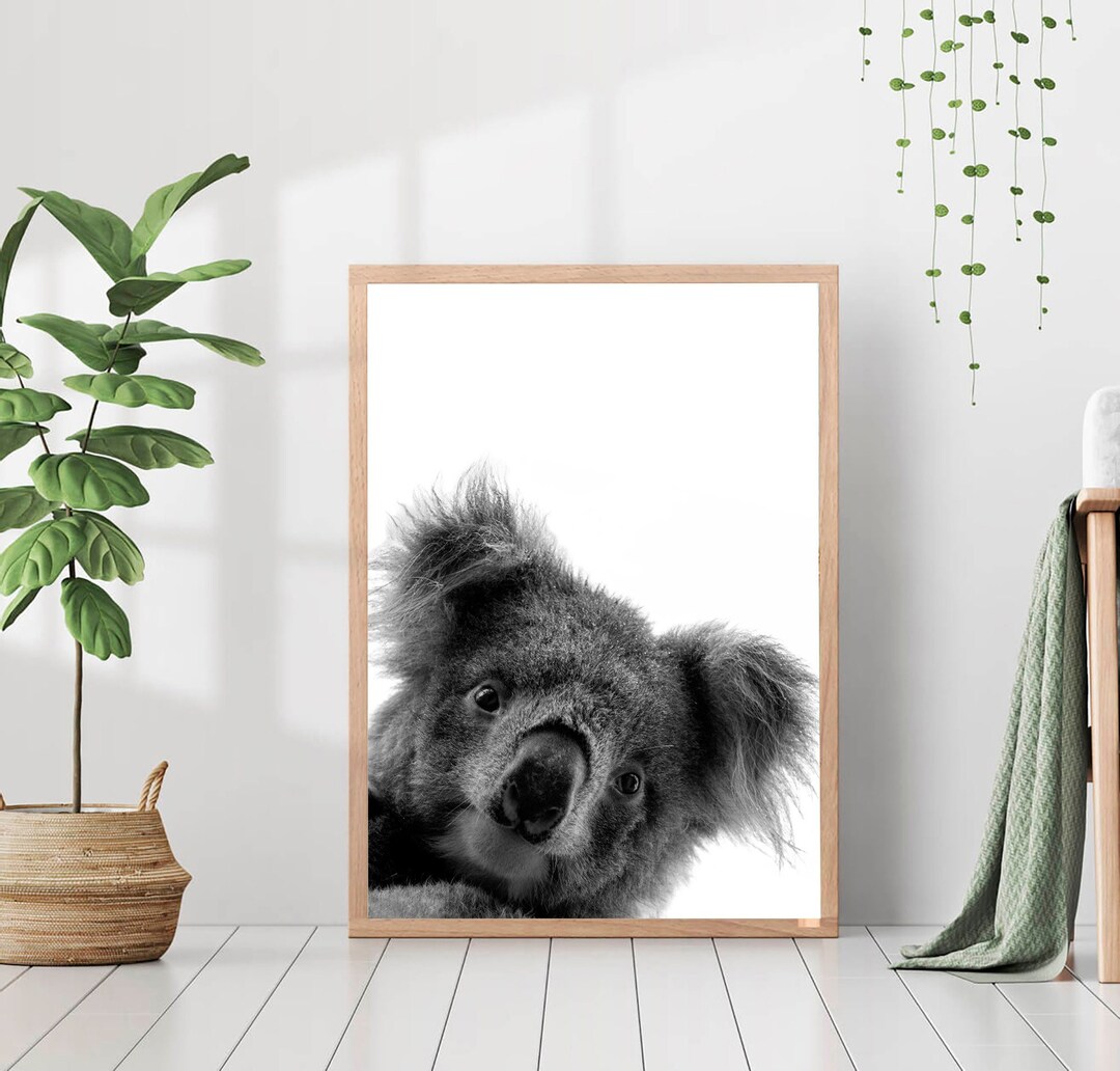Koala Print Black and White Koala Photo Nursery Animal Wall Art Poster ...