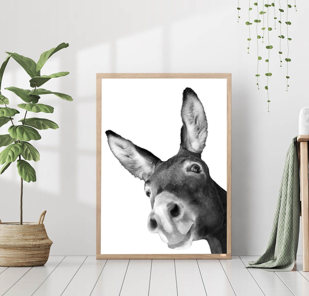Donkey Portrait Poster Print Black White Photo Donkey Nursery Farm ...