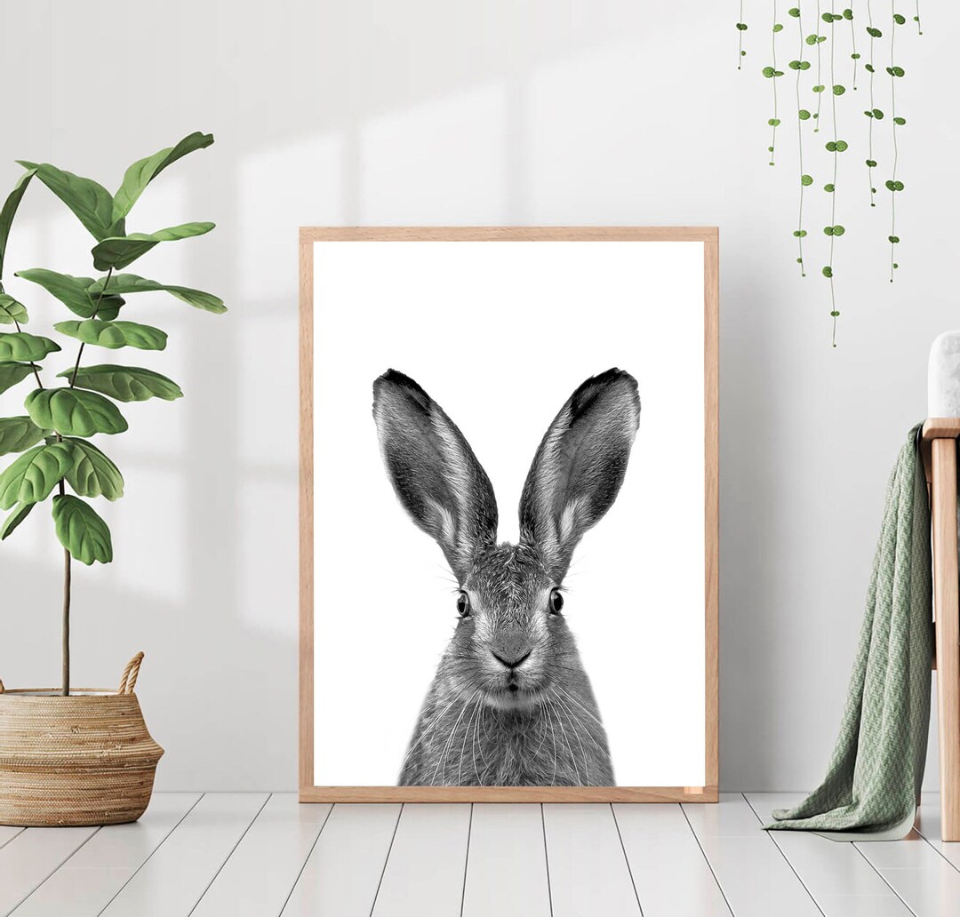 Rabbit Print Rabbit Black and White Photo Nursery Animal Wall Art ...