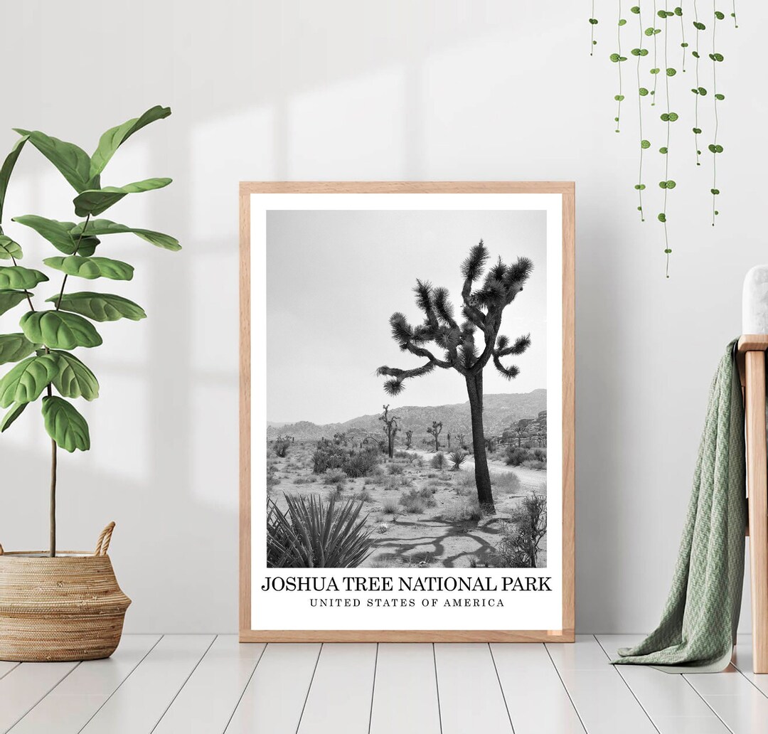 Joshua Tree National Park California Travel Print Black and White ...